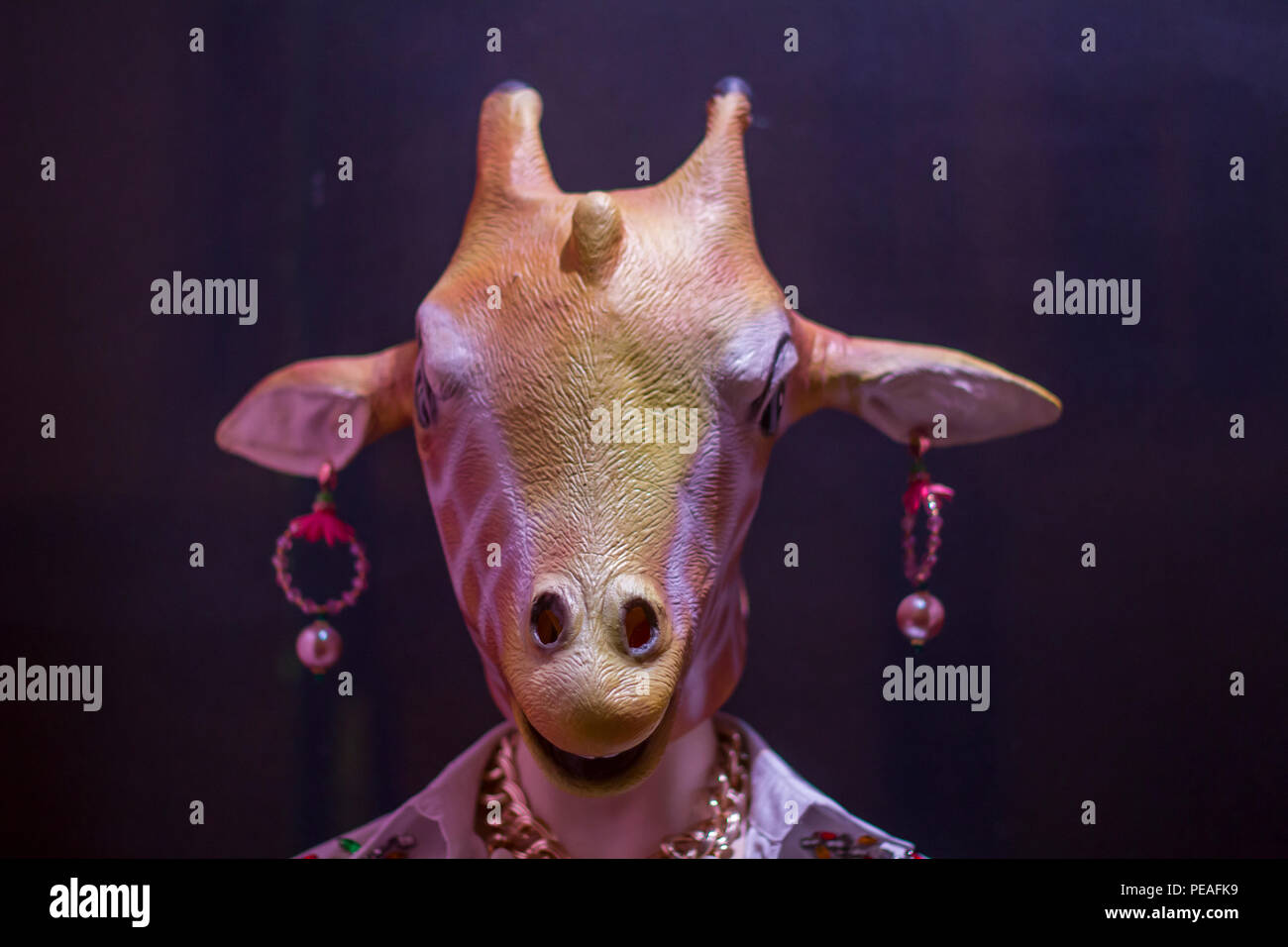 Giraffe Rabbit head mannequin with earrings Stock Photo - Alamy