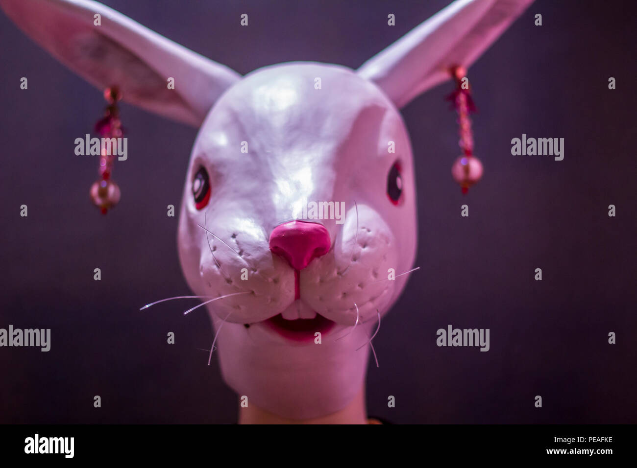 Rabbit head mannequin with earrings Stock Photo - Alamy
