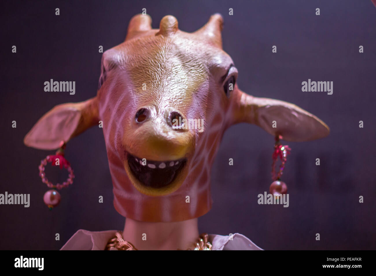 Odd giraffe hi-res stock photography and images - Alamy