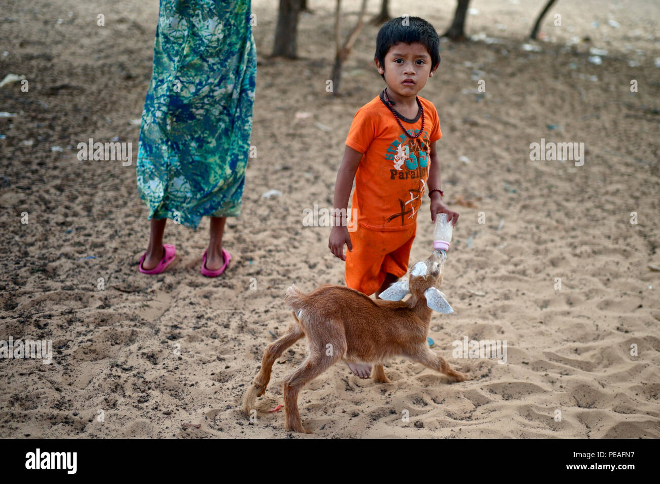 Traditional rancheria in a remote part of La Guajira Stock Photo - Alamy