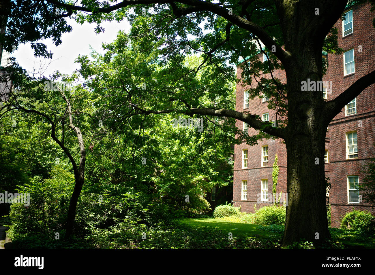 Built as a cooperative in 1923, The Chateau was designed by architect Andrew J. Thomas for the ...