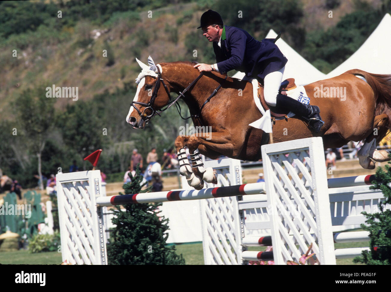 CSI Monterrey October 1995, John Whitaker (GBR) riding Everest Grannusch Stock Photo - Alamy