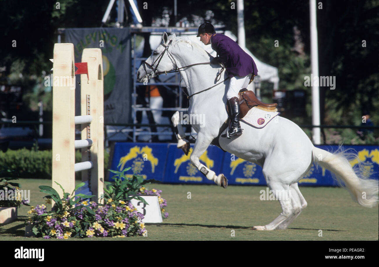 John Whitaker Equestrian Stock Photos & John Whitaker Equestrian Stock ...