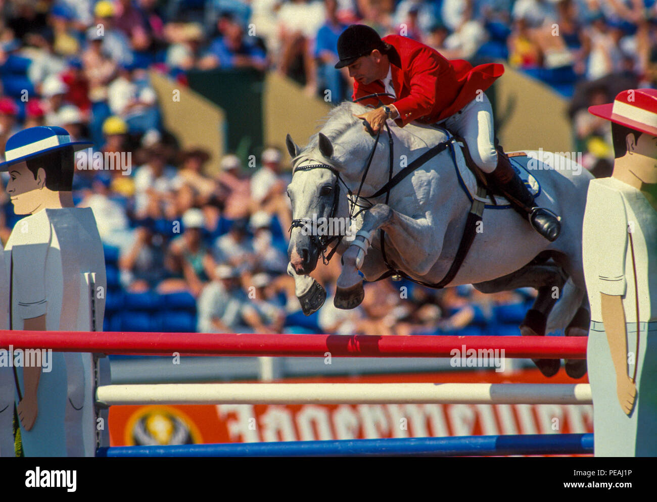 World Equestrian Games, The Hague, 1994, Royne Zettermann (SWE) riding ...