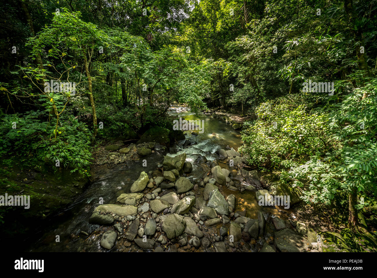 Small river or creek with small waterfall nature scenery landscape ...