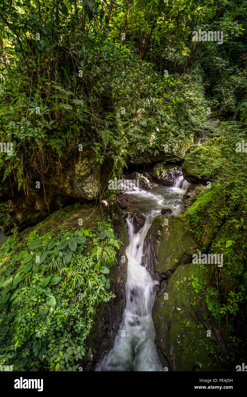 Small river or creek with small waterfall nature scenery landscape ...