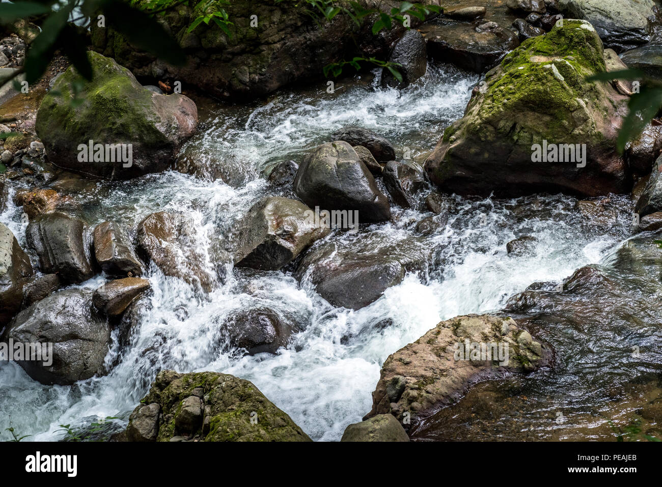 Stones in small river or creek with small waterfall nature scenery ...