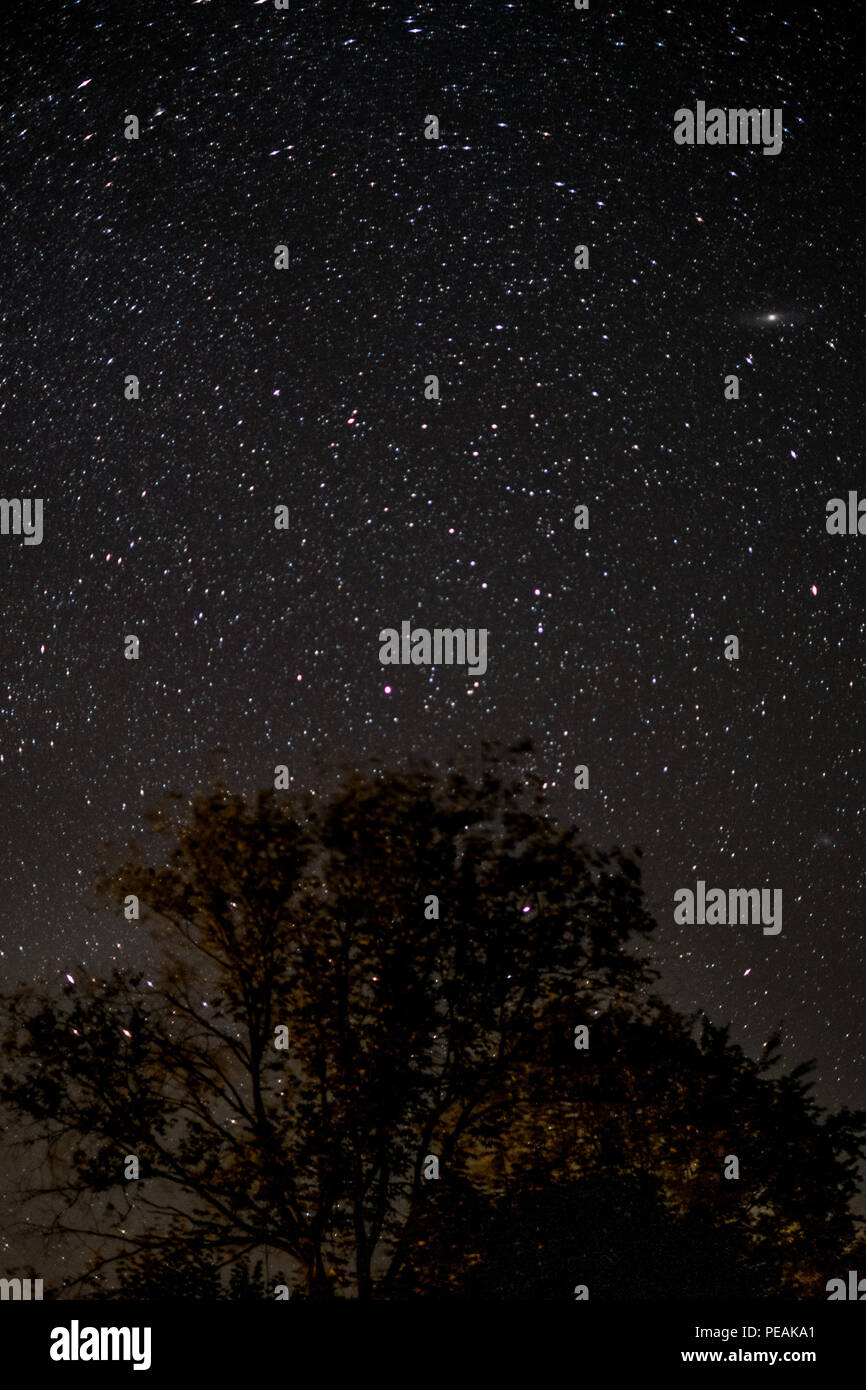 starlit sky at night - trees and stars Stock Photo - Alamy