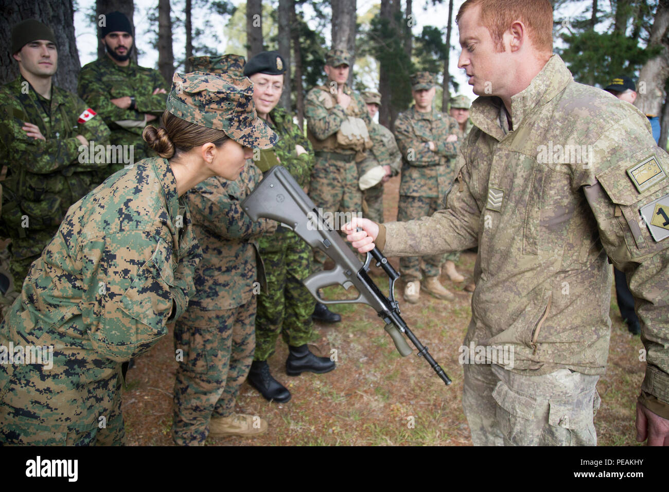 Linton military camp hi-res stock photography and images - Alamy