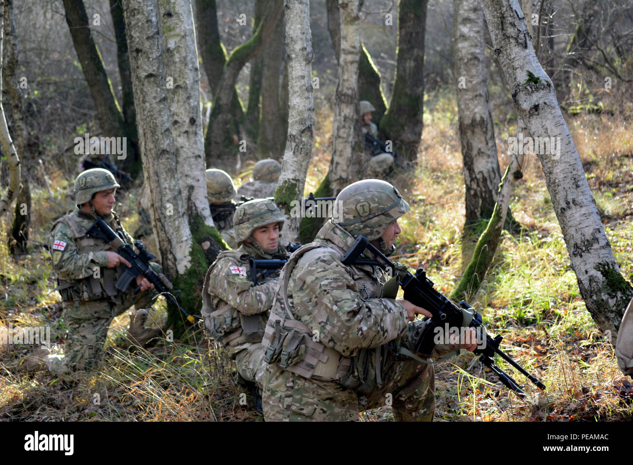 Soldiers from the Republic of Georgia wait in a tree line as they ...