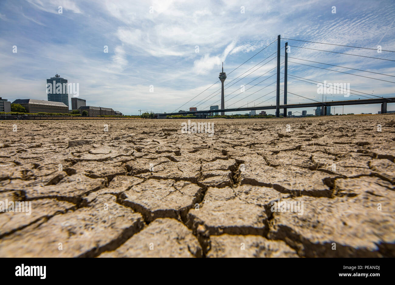 The river Rhine near Dusseldorf, extreme low tide, Rhine level at 84 cm ...