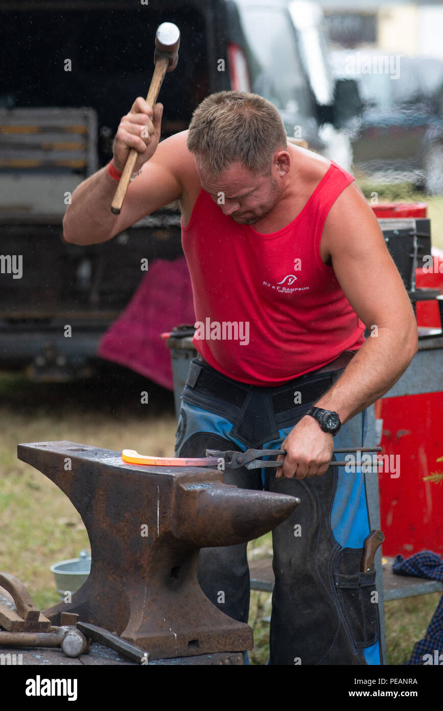 Blacksmith demonstrating horseshoe making with hot iron, a hammer and ...