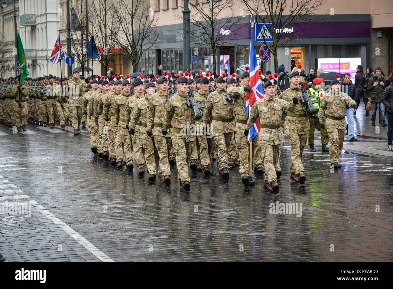 British soldiers assigned to Z Company, 1st Royal Regiment of Fusiliers ...