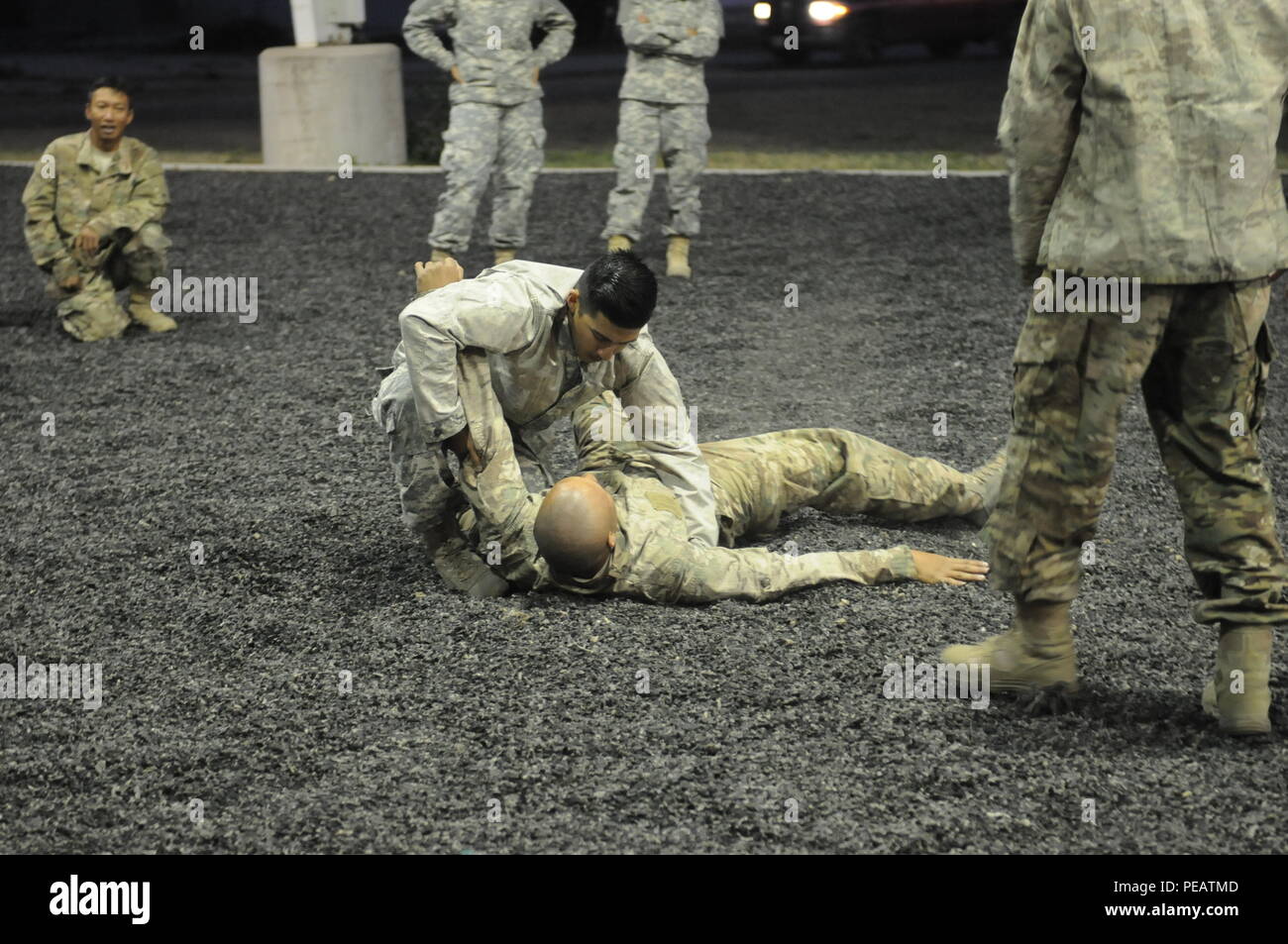 Soldiers from Headquarters Support Company, 640th Aviation Support ...