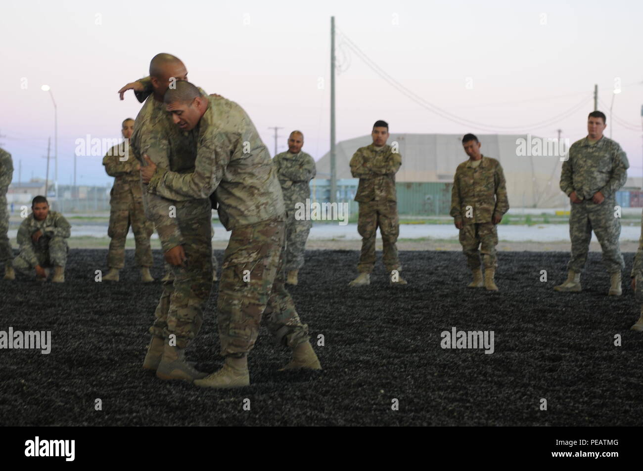 Soldiers from Headquarters Support Company, 640th Aviation Support ...