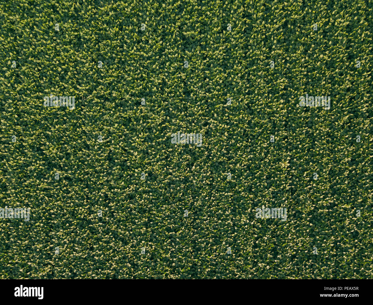 Top down view crop agricultural hi-res stock photography and images - Alamy