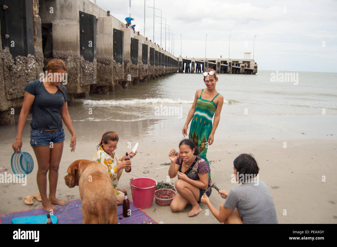 Women gathering and eating shellfish at Hua Hin, on the beach, Thailand ...