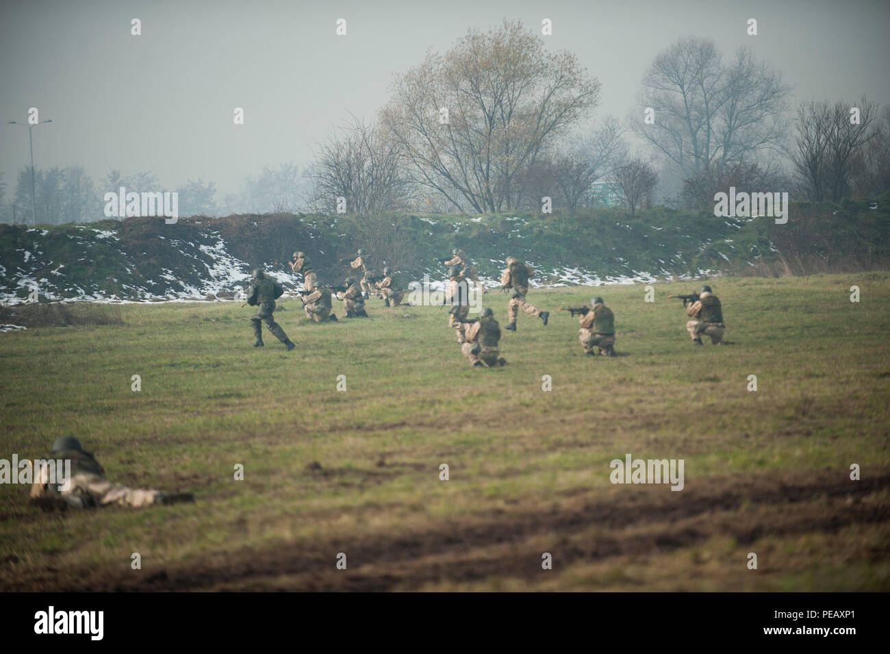 Soldiers of the Armed Forces of Bosnia and Herzegovina demonstrated ...