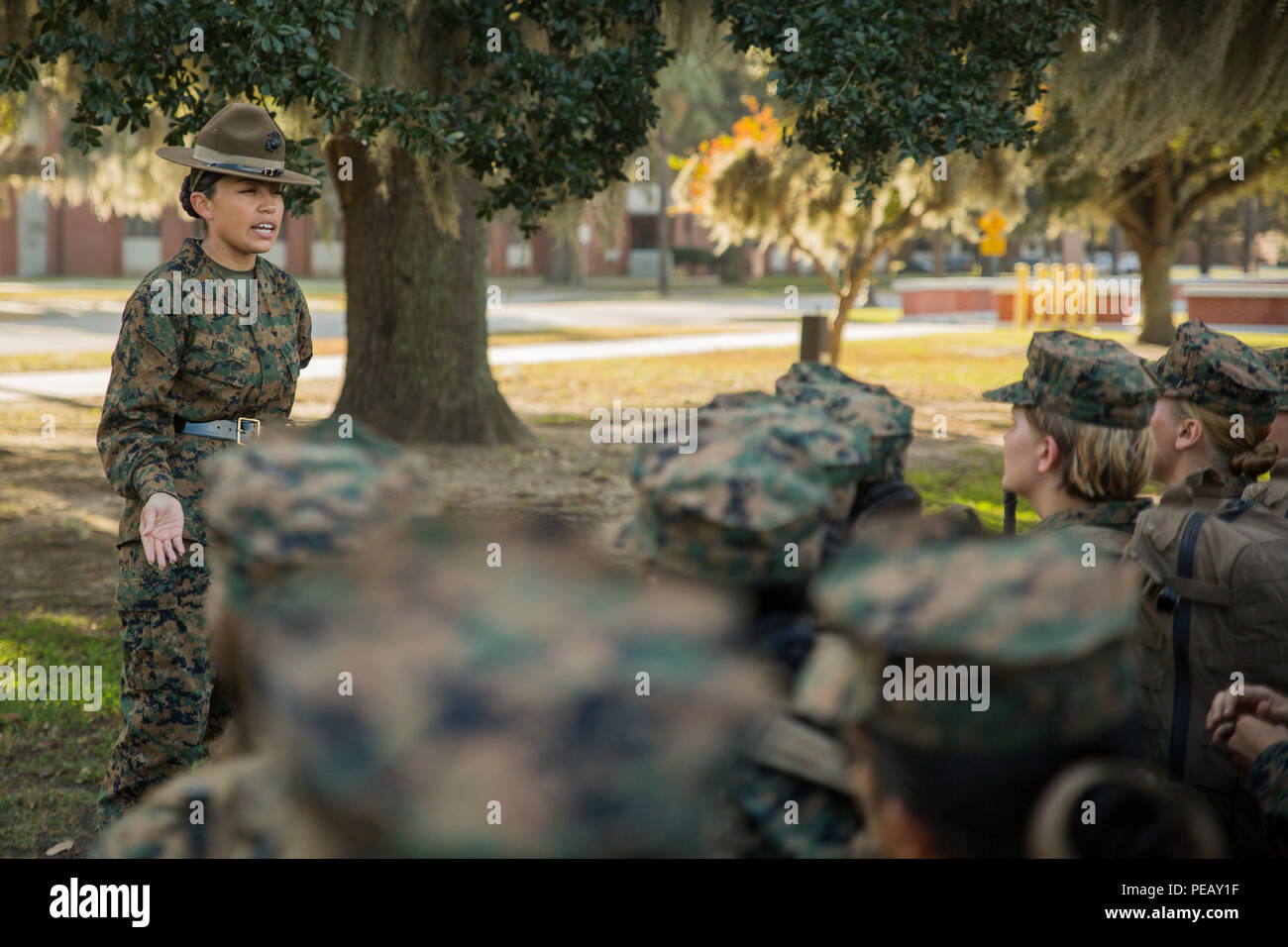 1915 4 november hi-res stock photography and images - Alamy