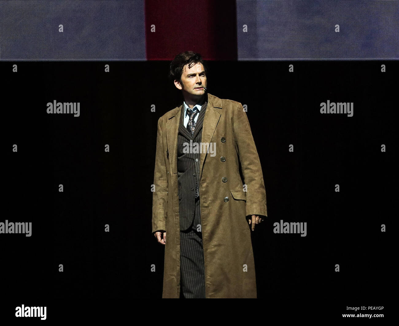 The Muppets Take the o2, live show at the o2 in London Featuring: David ...