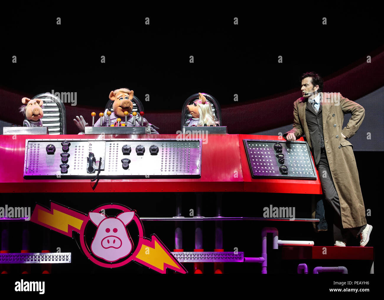 The Muppets Take the o2, live show at the o2 in London Featuring: David ...