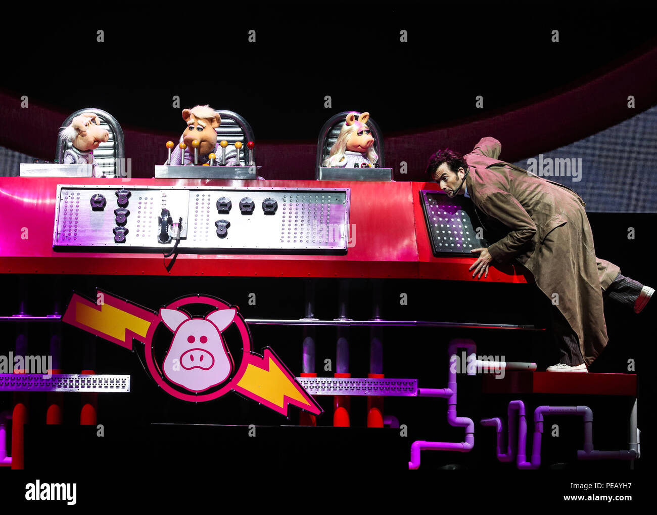 The Muppets Take the o2, live show at the o2 in London Featuring: David ...