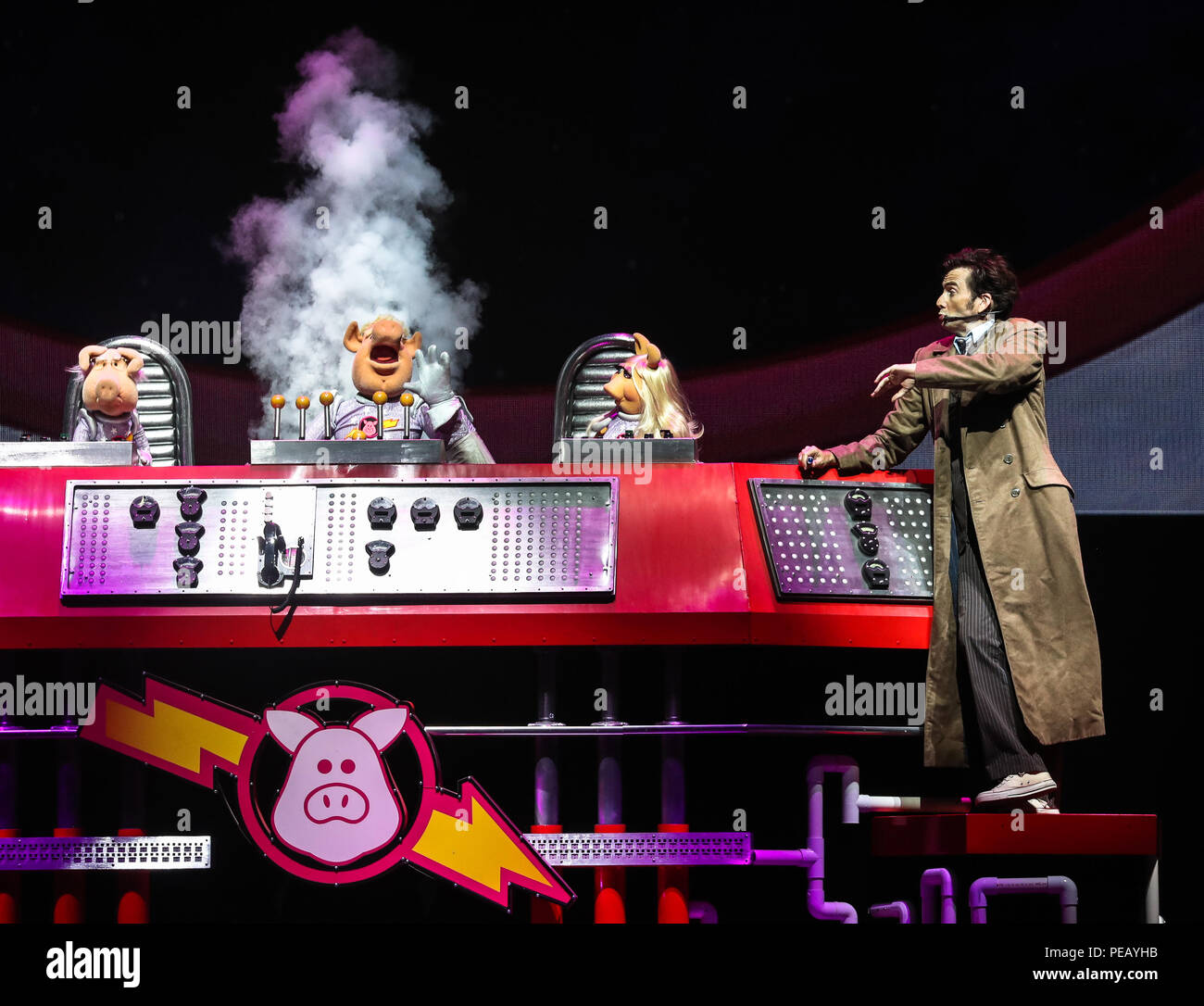 The Muppets Take the o2, live show at the o2 in London Featuring: David ...