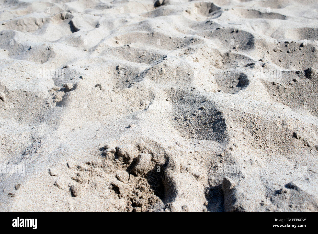 A view of a sand at the beach for wallpaper, background or backdrops ...