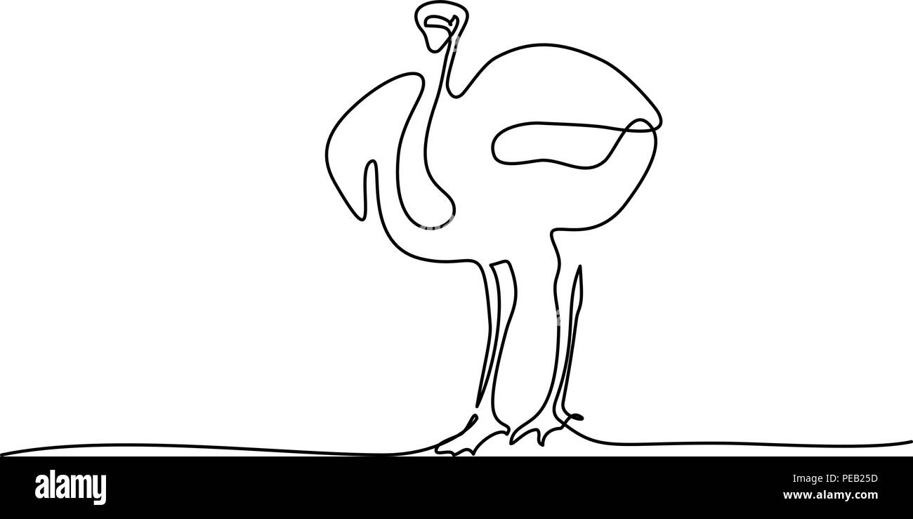 Continuous line drawing. Ostrich walking symbol. Logo of the Ostrich ...