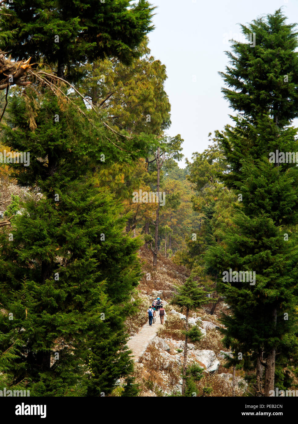 Forest road near Kala Agar village, many times mentioned by Jim Corbet ...