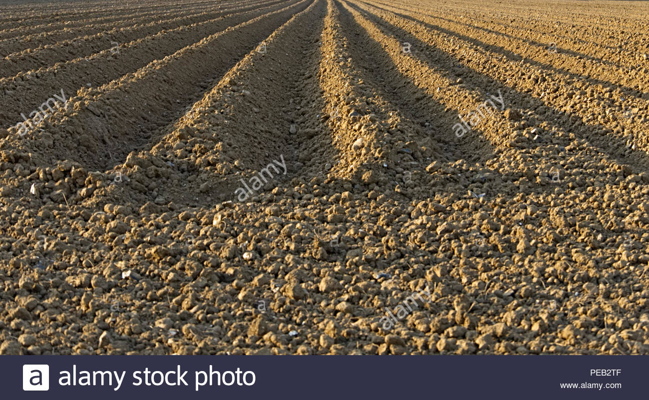 Furrows Stock Photos & Furrows Stock Images - Alamy