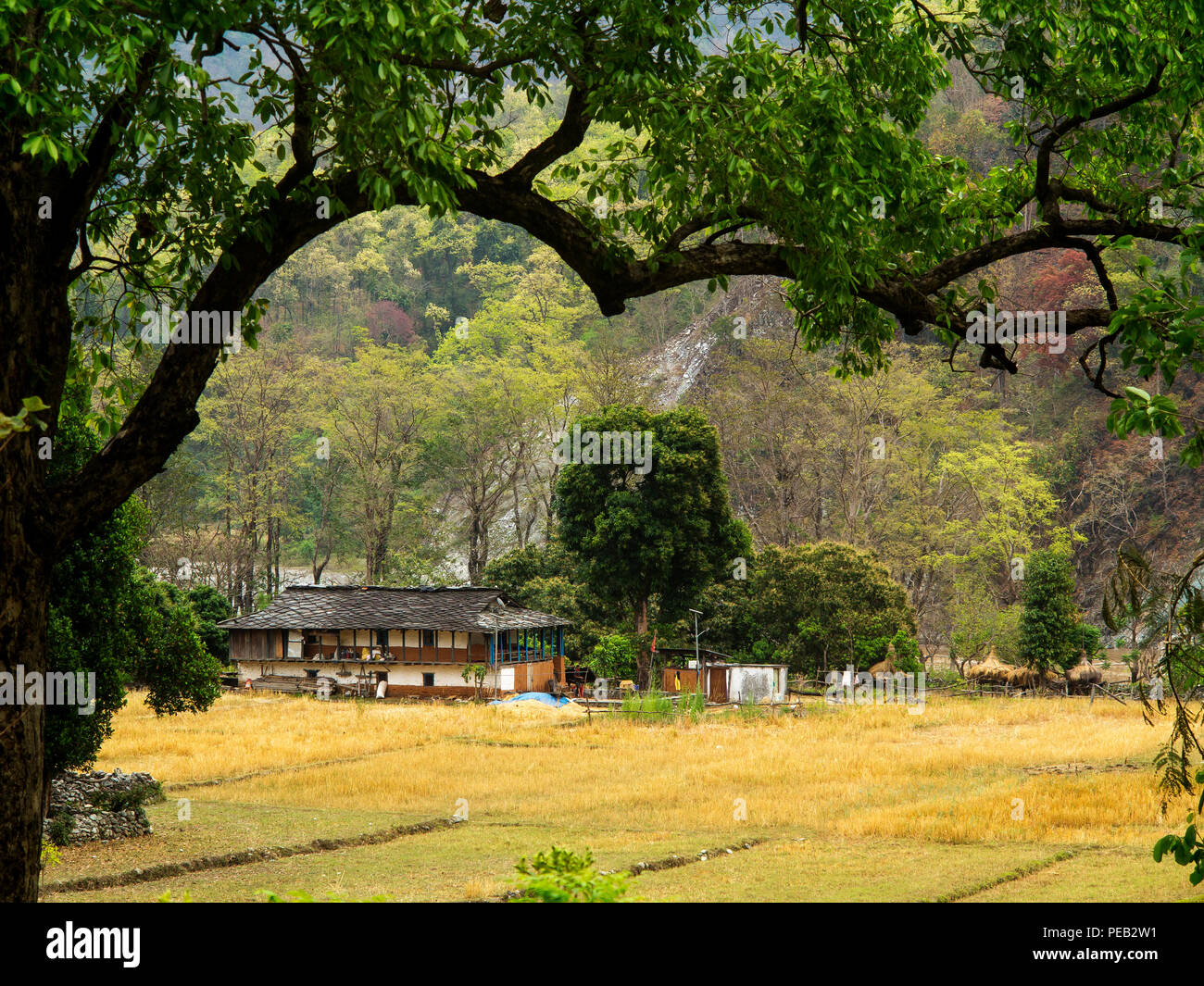 Khet village hi-res stock photography and images - Alamy