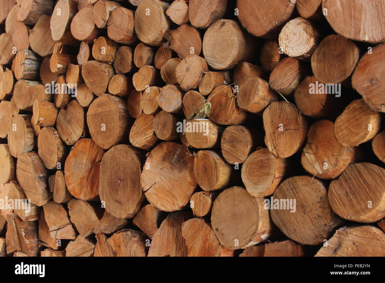 Stacked timber logs Stock Photo - Alamy