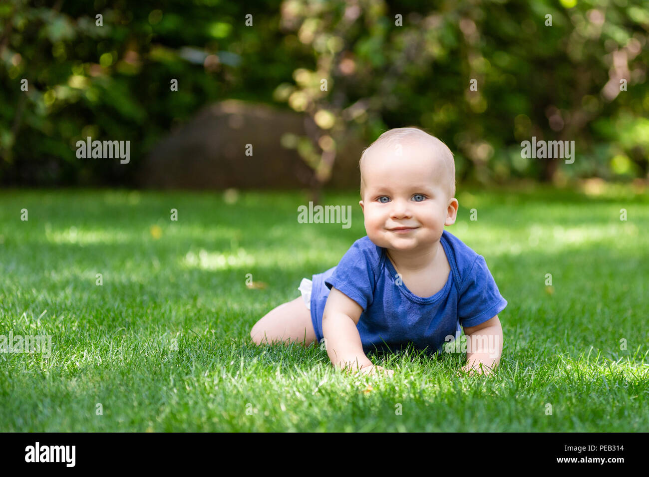 Cute little blond baby boy crawling on fresh green grass. Kid having ...