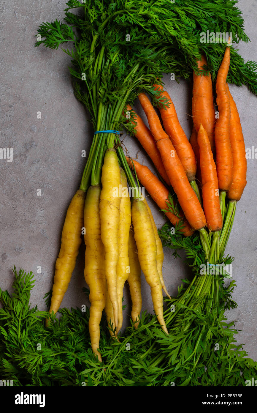 Food. Delicious harvested organic carrot on the grey table Stock Photo ...