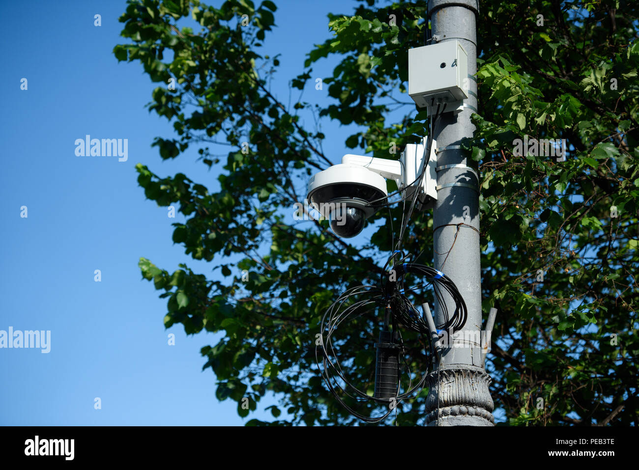 Cctv on the tree hi-res stock photography and images - Alamy