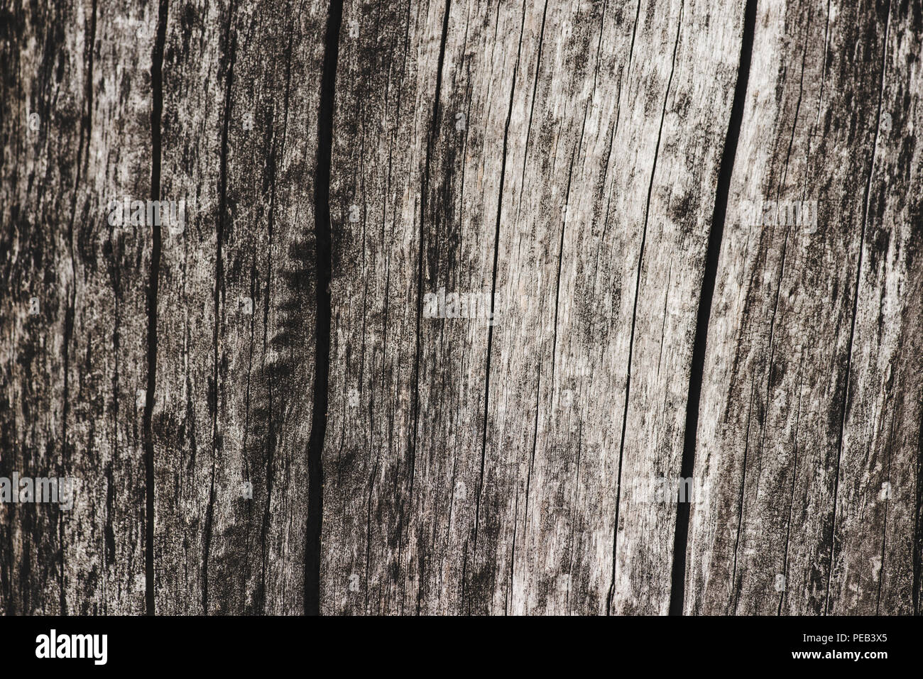 Dry wood with texture with cracks background Stock Photo - Alamy