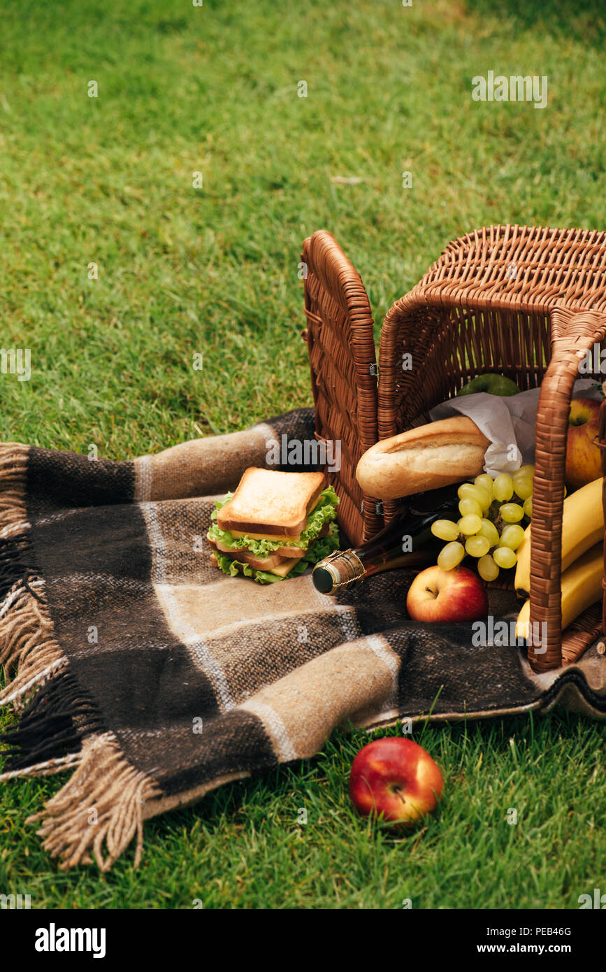 flipped over basket with fruits and champagne on blanket on green grass ...