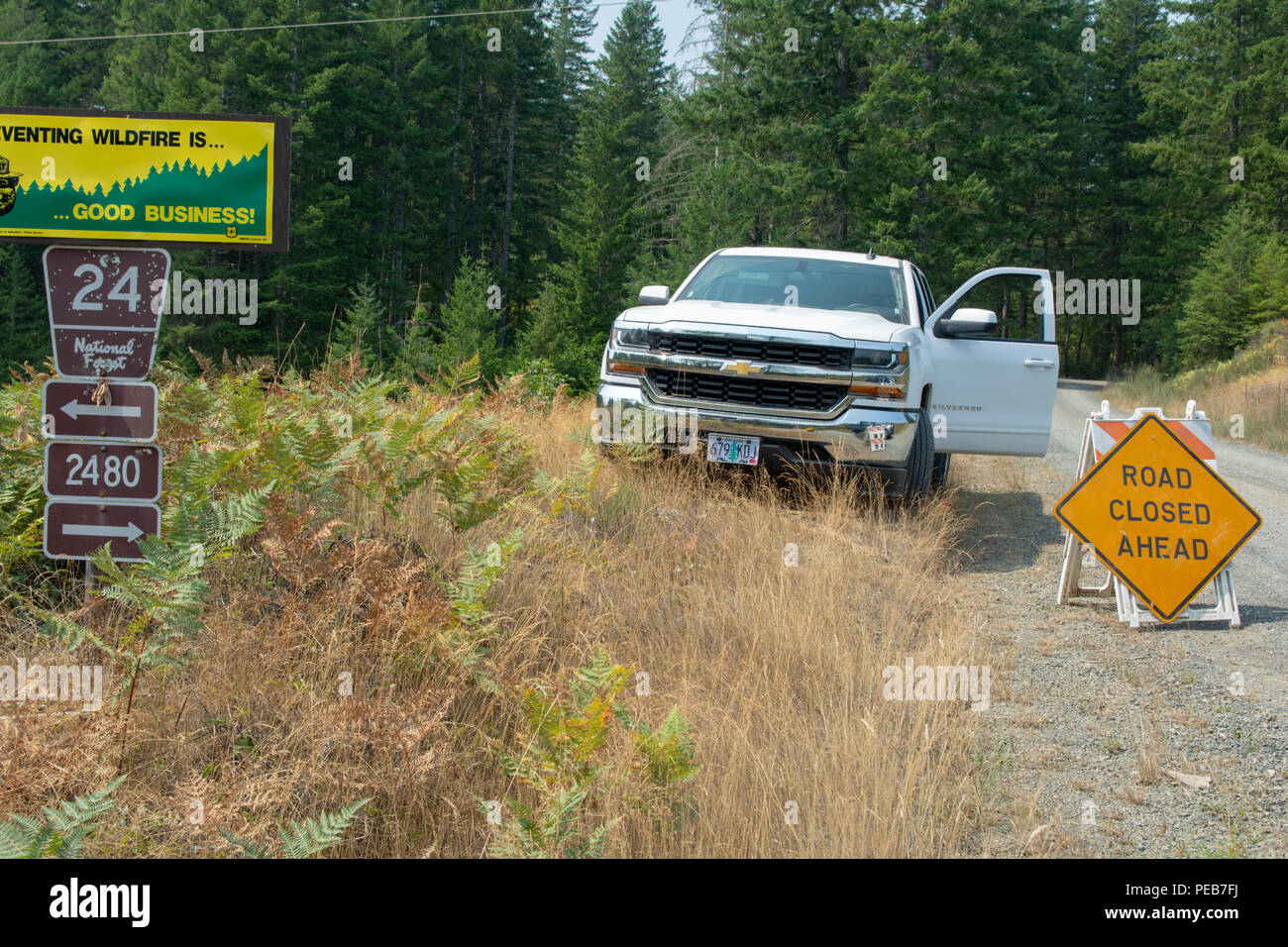 Breaking news forest fire hi-res stock photography and images - Alamy