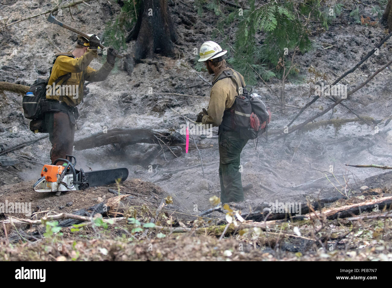 Breaking news forest fire hi-res stock photography and images - Alamy