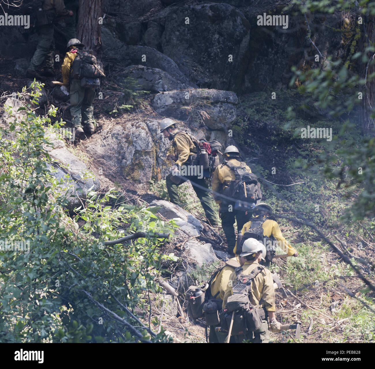 Dardnelle, California, U.S.A. 13th Aug, 2018. The Palomar HotShots work ...