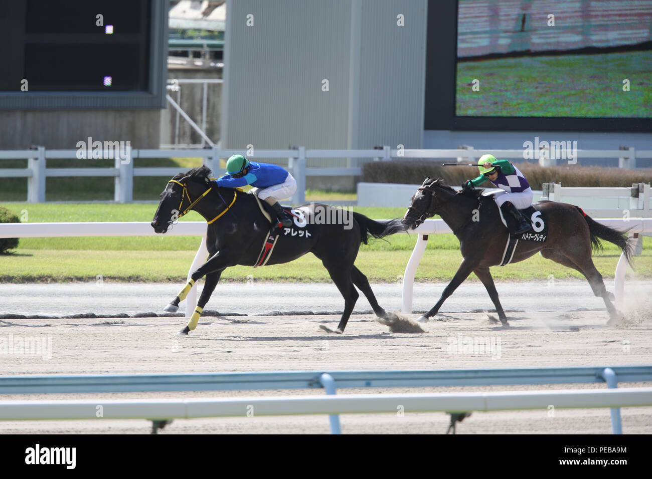 Fukuoka, Japan. 12th Aug, 2018. (L-R) Arret (Manabu Sakai), Hato Mark Lady (Takashi Fujikake ...