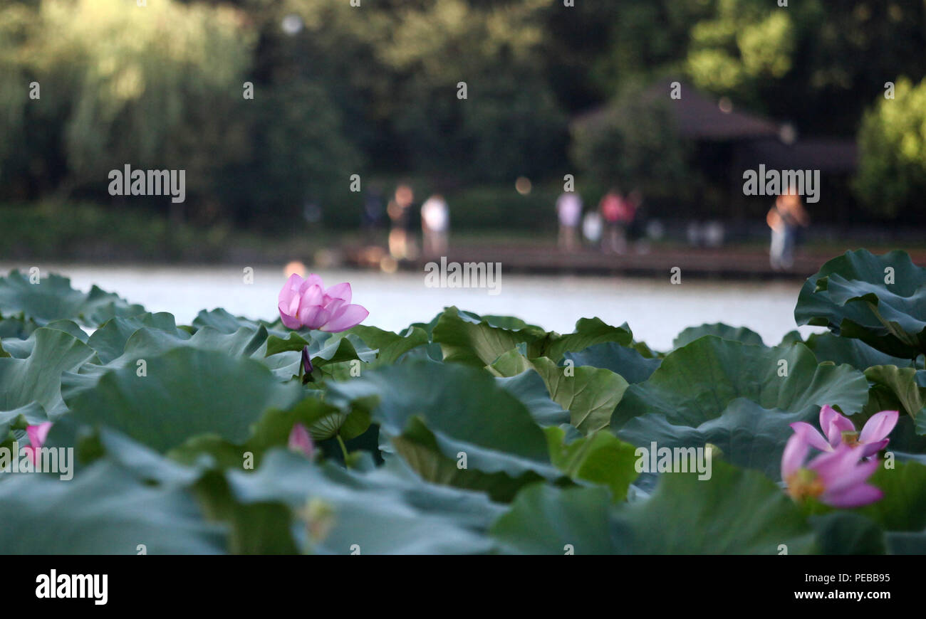 Delong lake hi-res stock photography and images - Alamy