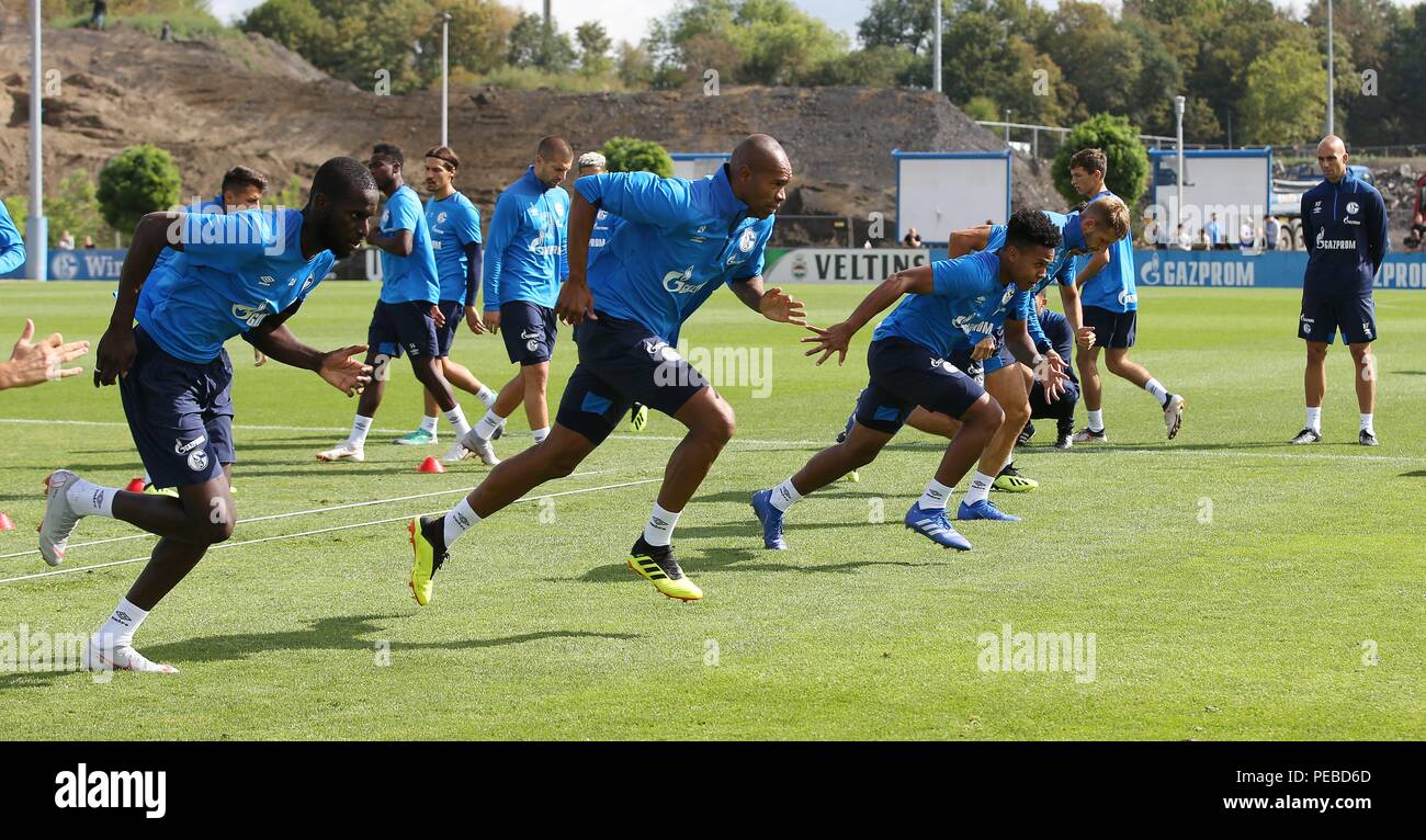 Naldo bundesliga hi-res stock photography and images - Alamy