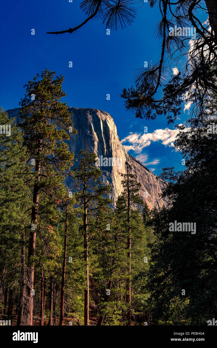 World famous rock climbing wall of El Capitan, Yosemite national park ...