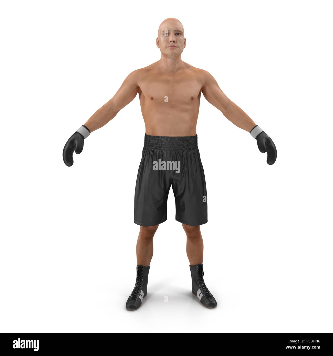 Boxer Fighter Full Body