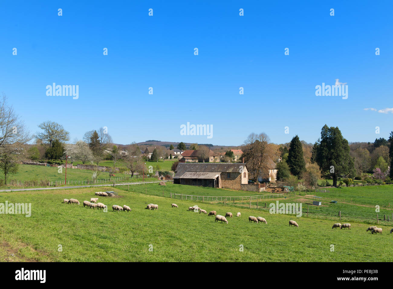French landscape with village and sheep in the Limousin in France Stock ...