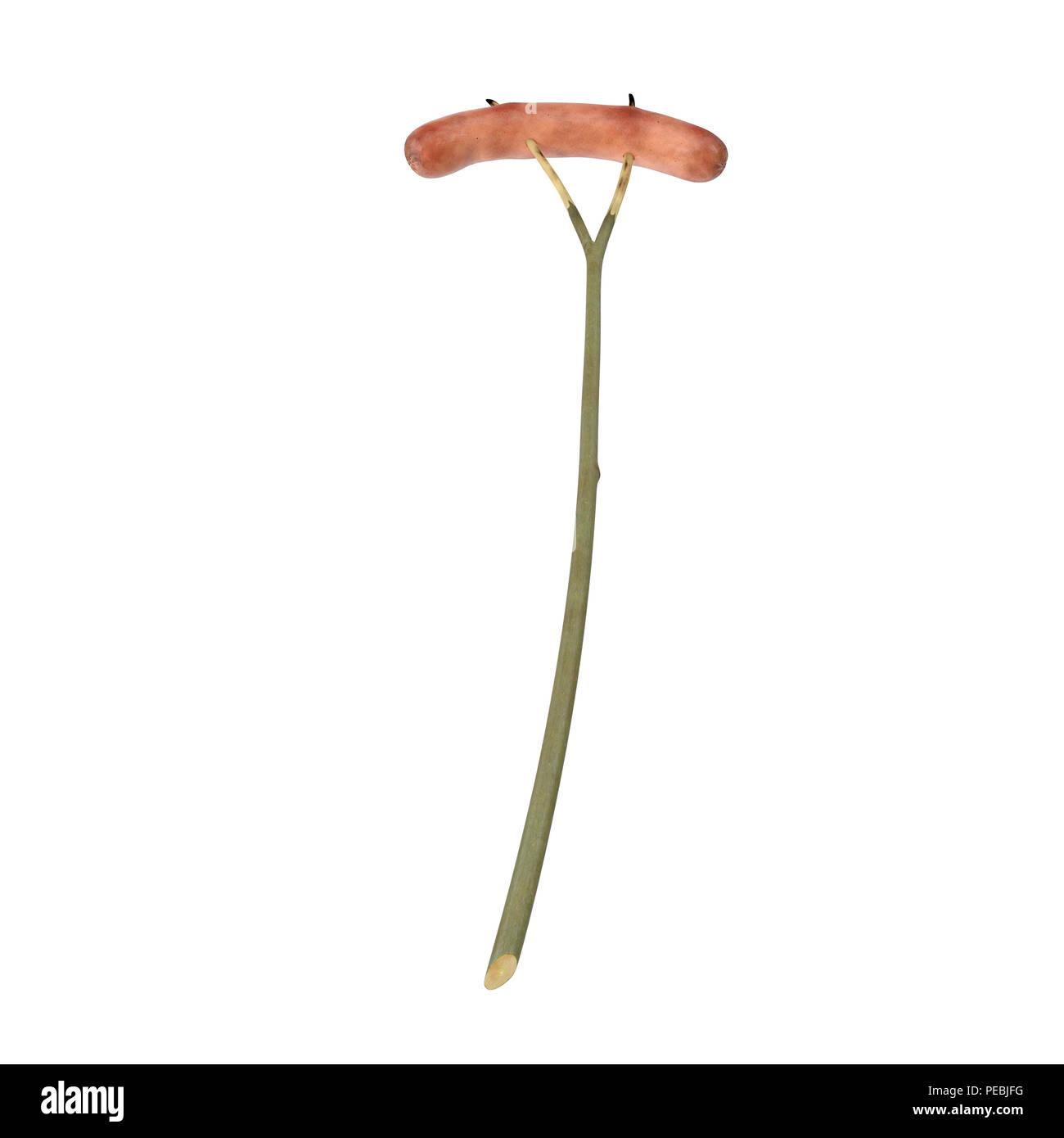 Sausage on a stick Cut Out Stock Images & Pictures - Alamy