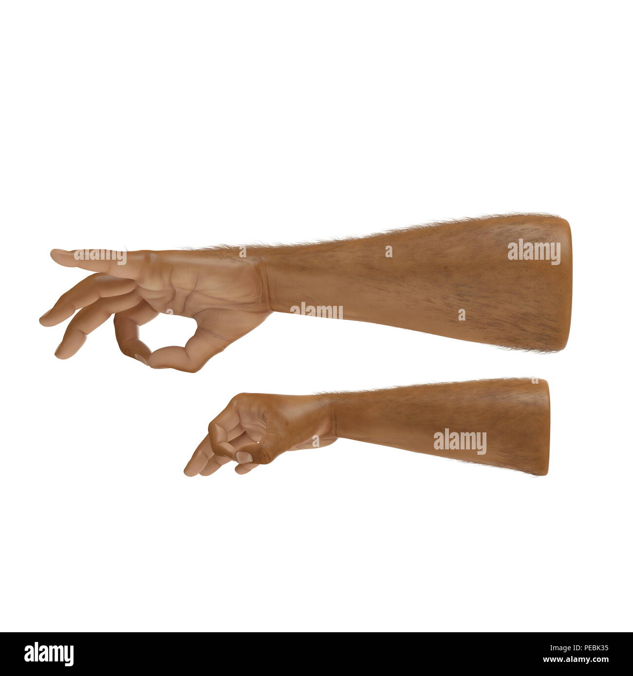 Man Hands ok sign Swarthy Skin on white. 3D illustration Stock Photo ...