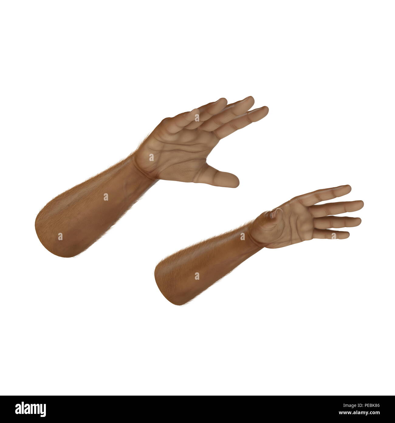 Man Hands Swarthy Skin on white. 3D illustration Stock Photo - Alamy